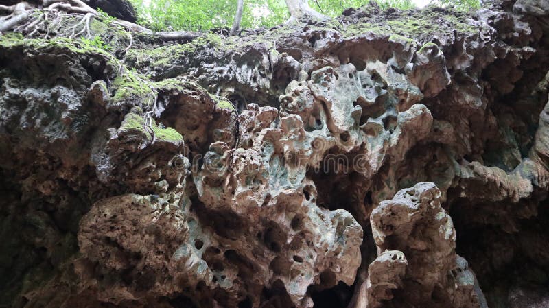 Cave in a Rain Forest. Original Footage Stock Photo - Image of rain ...