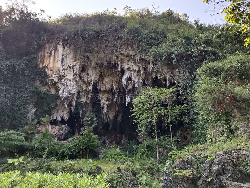 A Cave on the Slope of a Cliff Stock Photo - Image of view, growth ...