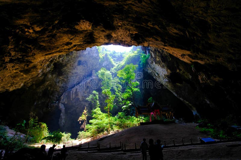 A Cave with a Tree Growing Inside of it Stock Photo - Image of sunlight ...