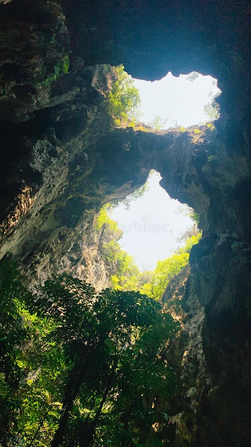 A Cave with a Tree Growing Out of it Stock Photo - Image of hole ...