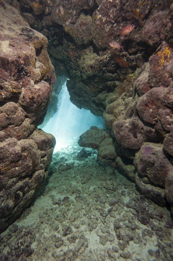 Cave in Underwater Tropical Reef Stock Image - Image of atmospheric ...