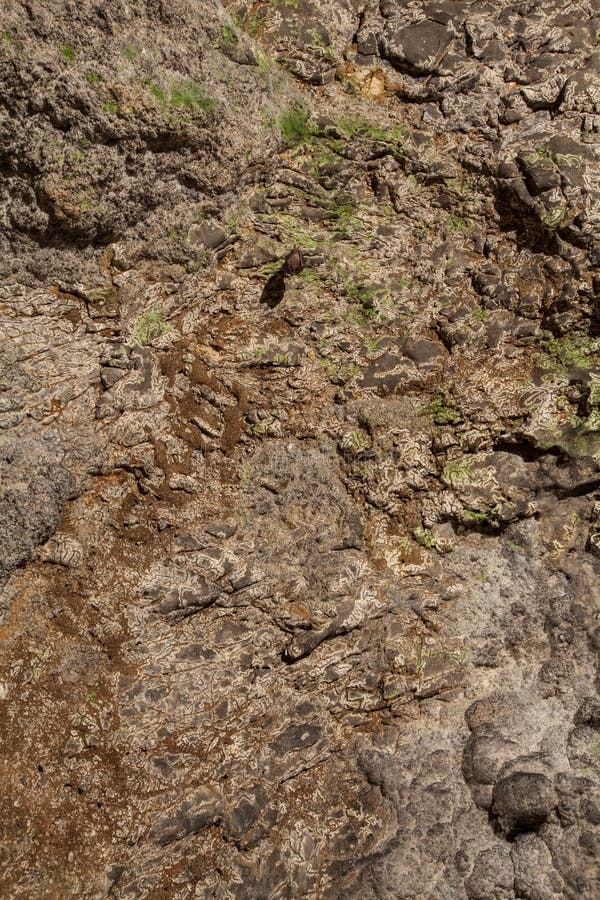 Cave wall - texture stock image. Image of superior, brown - 33100107