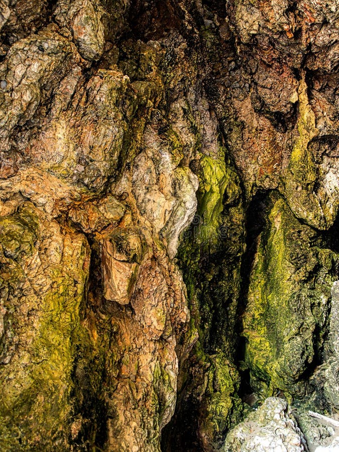 Cave Wall with Water, Algae - Background Stock Image - Image of rocky ...