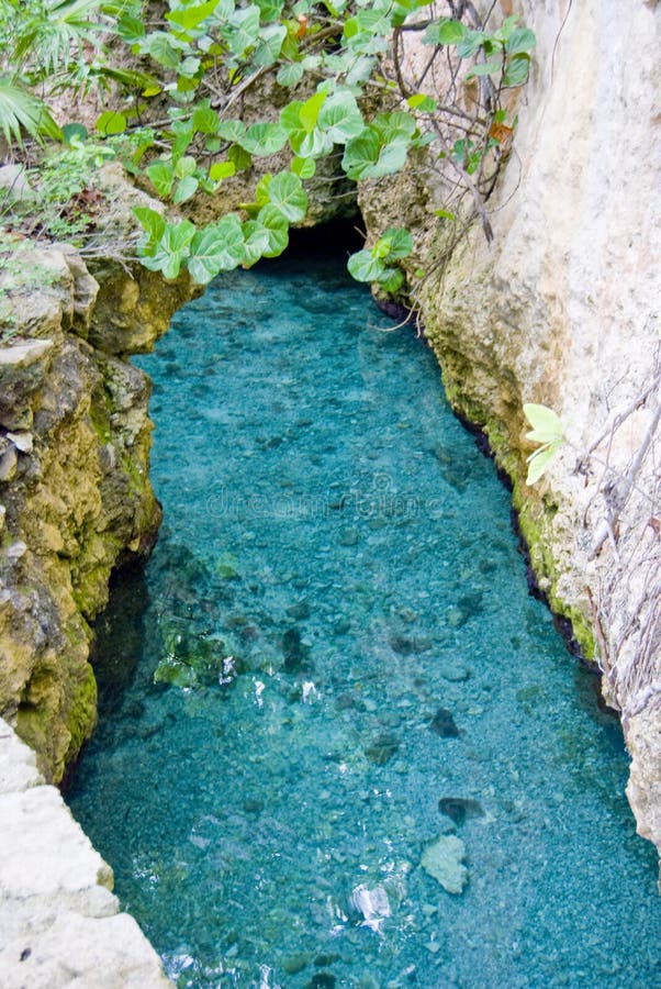 Pale Light Drowning Stock Photos - Free & Royalty-Free Stock Photos ...