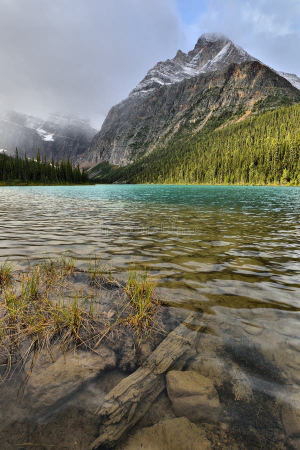 Cavell Lake Mount Edith Cavell Stock Photo - Image of forest, cliff ...