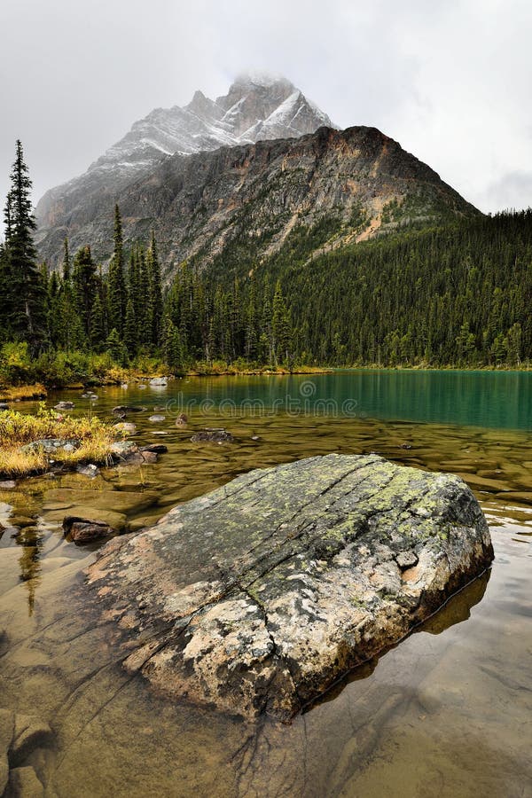Cavell Lake Mount Edith Cavell Stock Image - Image of destination ...