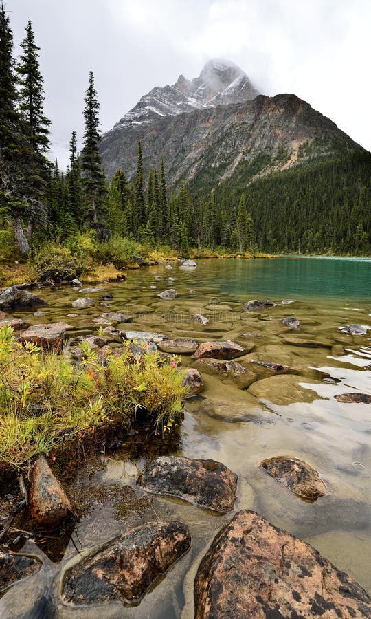 Cavell Lake Mount Edith Cavell Stock Photo - Image of environment ...
