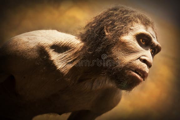 4,384 Caveman Stock Photos - Free & Royalty-Free Stock Photos from ...
