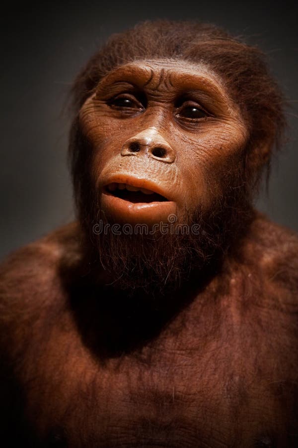 Caveman editorial stock photo. Image of evolve, sapiens - 16882523