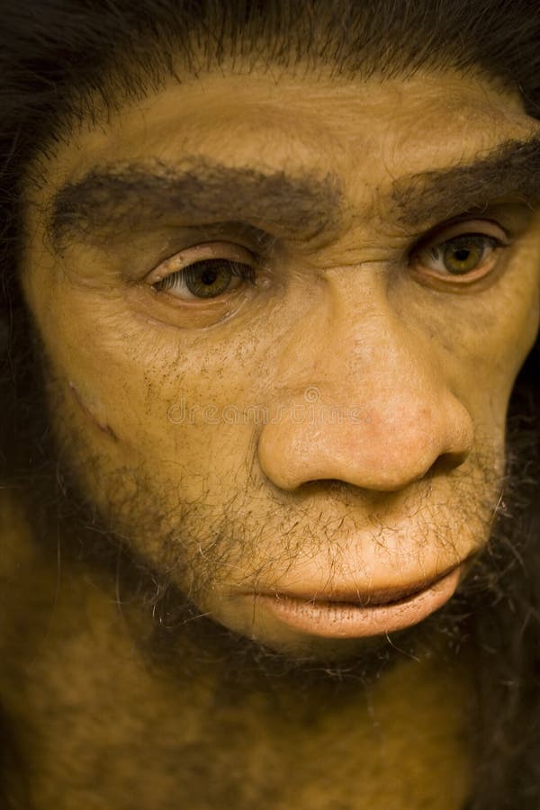 Caveman stock photo. Image of archeology, bone, biology - 246610202