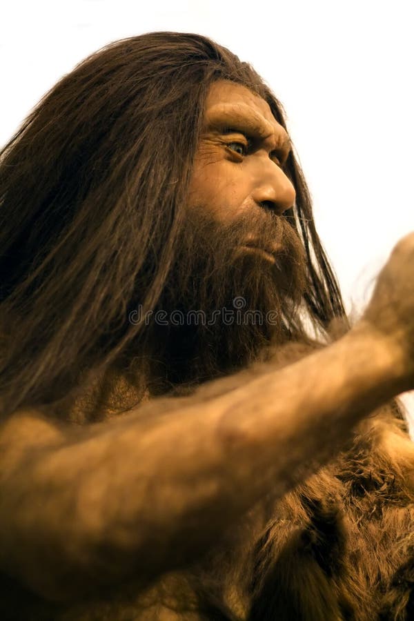 Caveman stock image. Image of extinct, australopithecus - 246610203