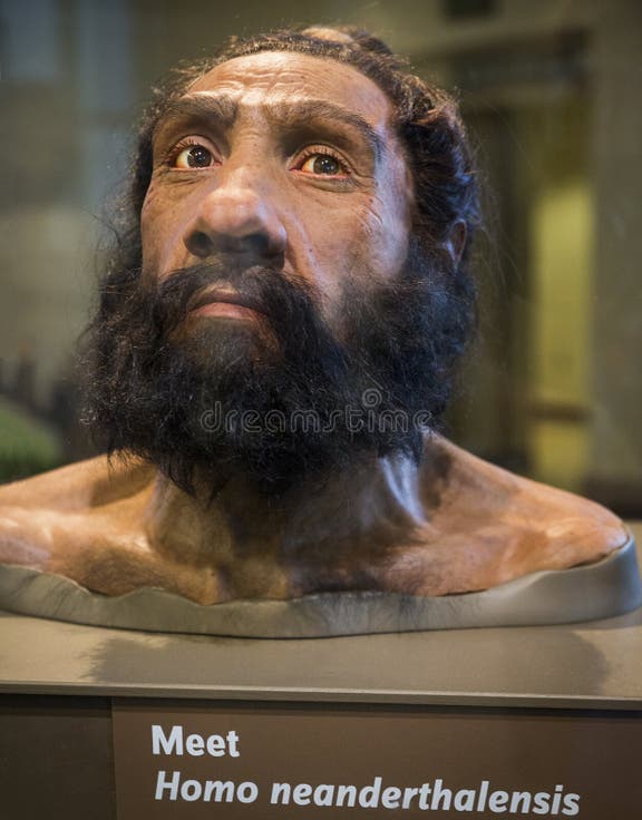 Caveman editorial stock image. Image of hunter, ancestor - 77734659