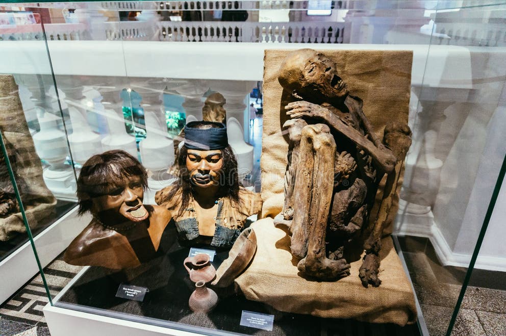 Cavemen Display in Natural History Museum Editorial Stock Photo - Image ...