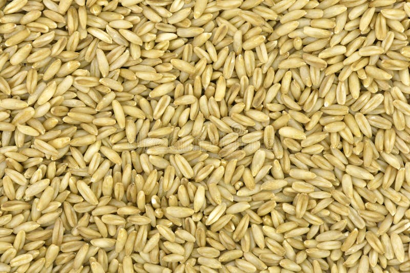 Cavena Stock Photos - Free & Royalty-Free Stock Photos from Dreamstime