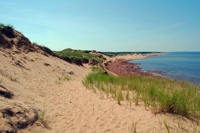 Cavendish beach stock image. Image of coastal, grass - 17863915