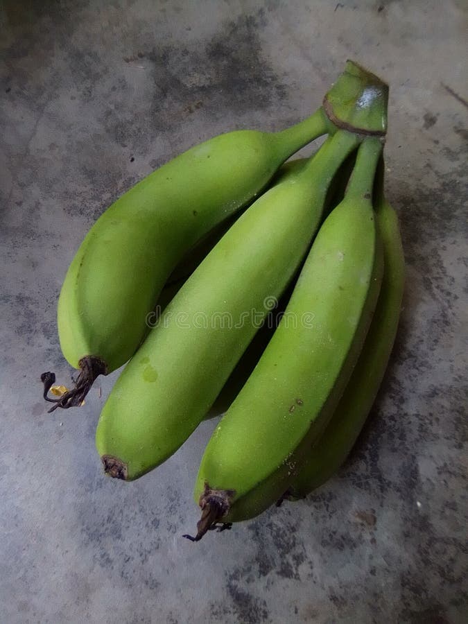 Cavendish Green Banana stock photo. Image of cuisine - 232606938