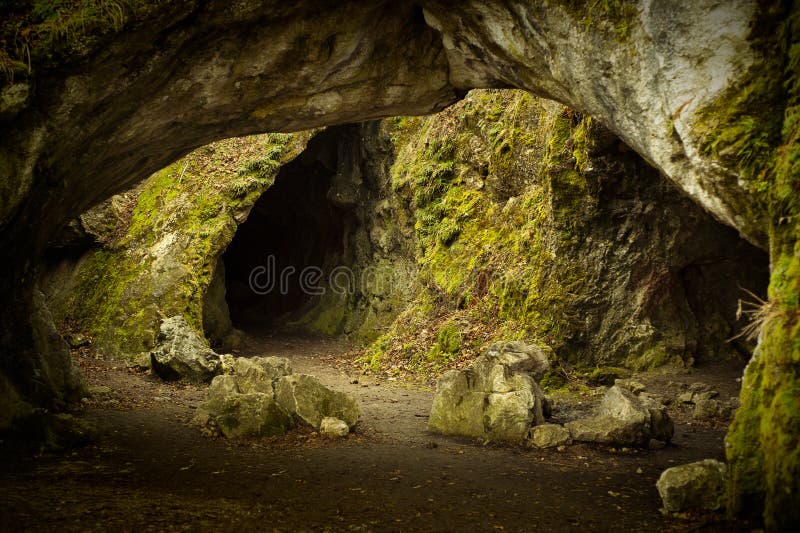 Grande Entrada De Cavernas Na Floresta Do Outono Imagem de Stock ...