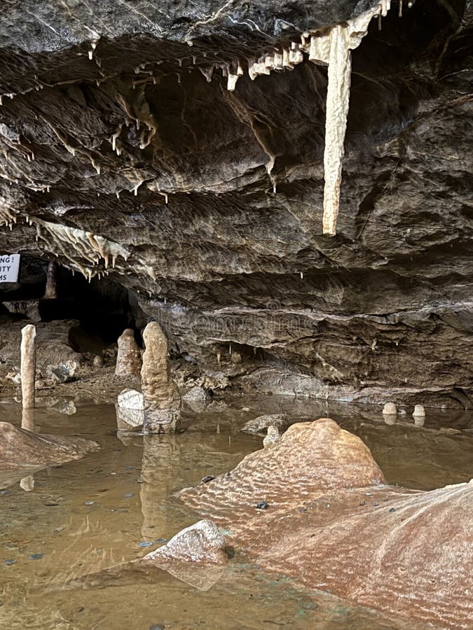 The Caves at Cheddar Gorge stock image. Image of wildlife - 385773263