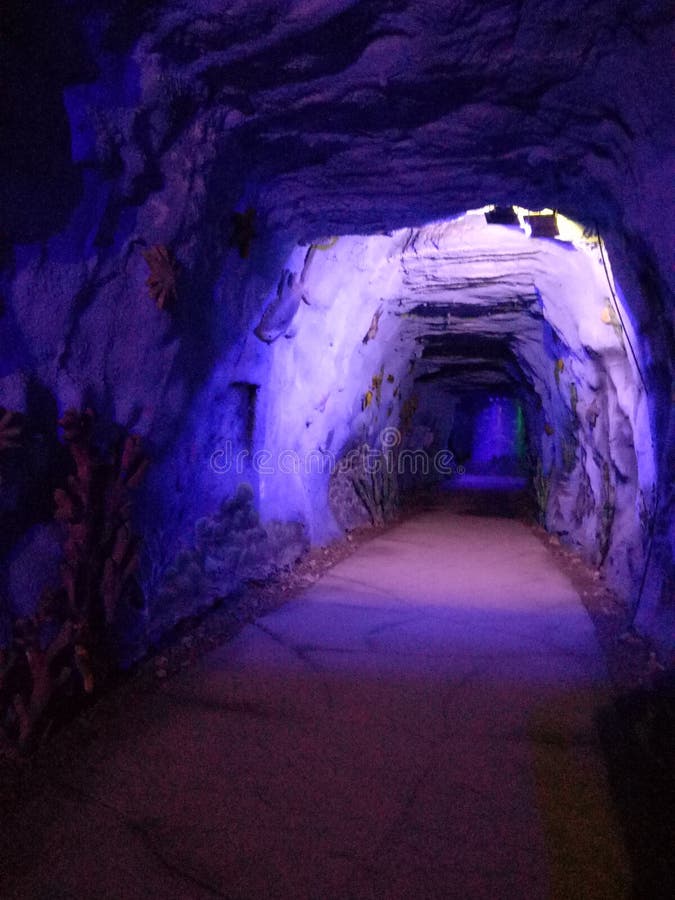 Caves are Formed by the Dissolution of Limestone.Caves are Formed by ...