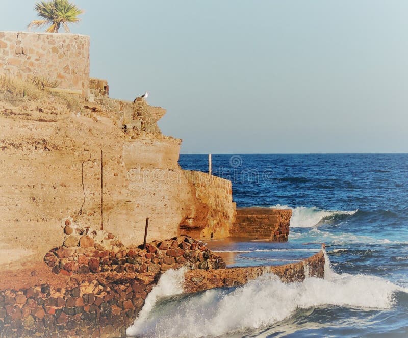 CAVES and REEFS stock photo. Image of seagull, caves - 197756184
