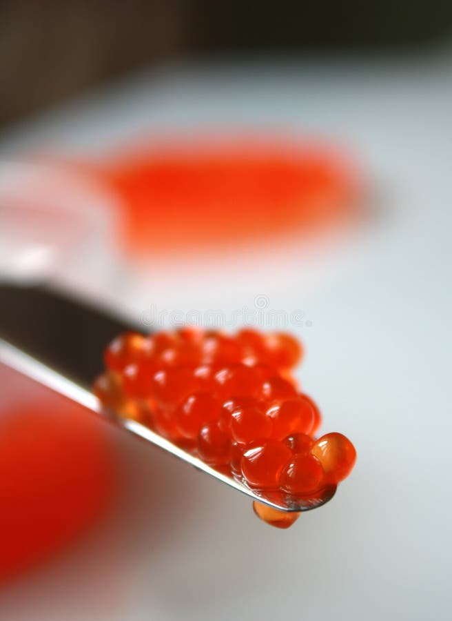 Caviale rosso immagine stock. Immagine di russo, antipasto - 8649213