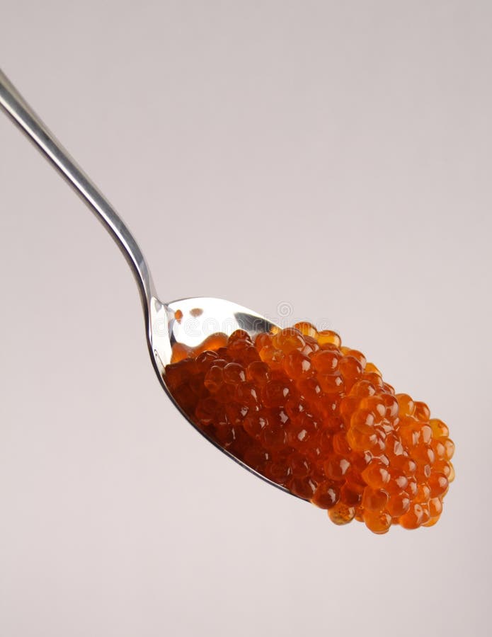 Caviar stock photo. Image of eggs, fish, gourmet, trout - 1475704