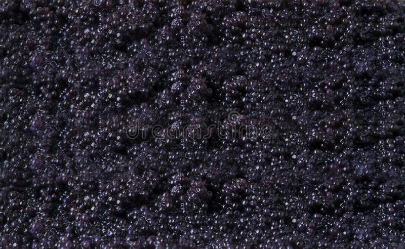 Caviar background stock image. Image of prepared, snack - 50085011