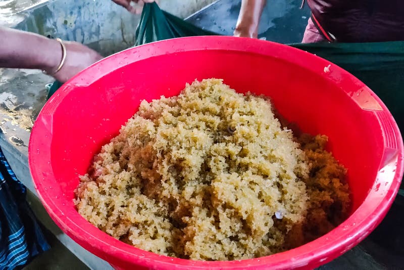 Caviar of Carp. Collecting Carp Caviar in Basin Stock Photo - Image of ...