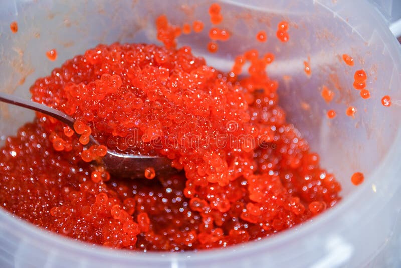 Caviar Close-up in a Bucket with a Spoon. Stock Photo - Image of salmon ...