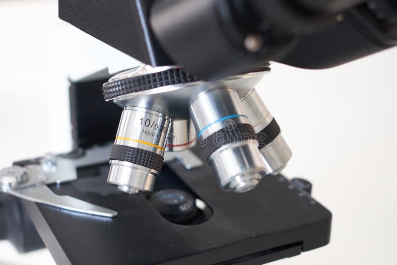 Caviar Making Laboratory Closeup Room for Making Caviar Stock Image ...