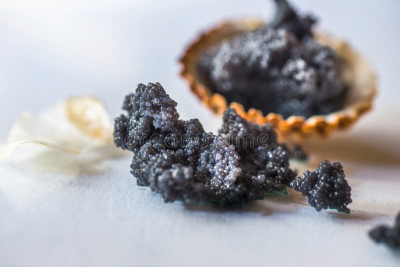 Caviar in Shell and Scattered on Table. Stock Photo - Image of caviar ...