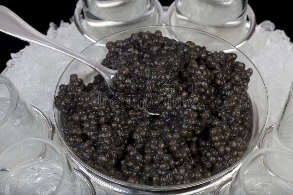 Caviar, Sturgeon`s Egg stock photo. Image of food, indoor - 198635730
