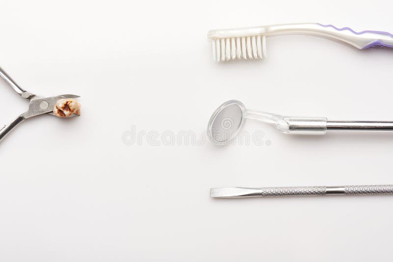 Cavity on extracted teeth stock photo. Image of healthcare - 84086436