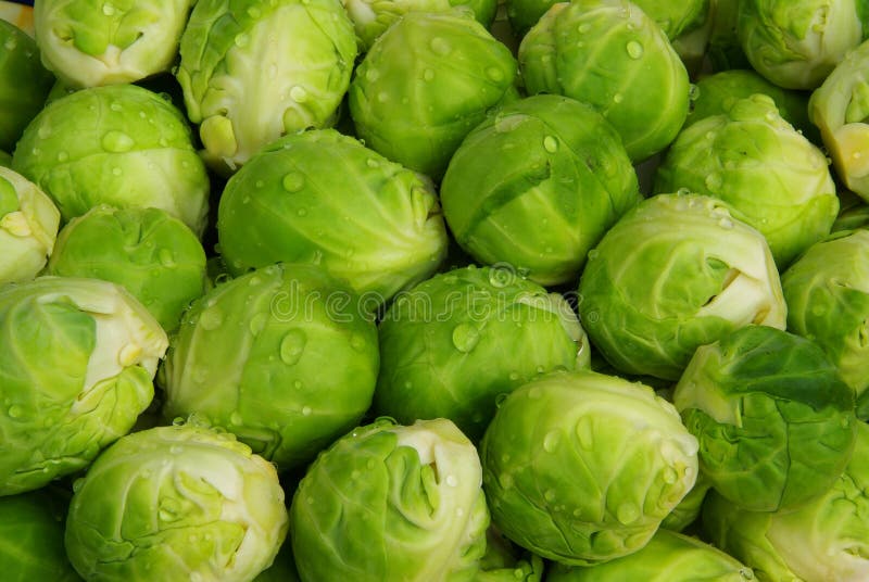 Cavolini di Bruxelles immagine stock. Immagine di bruxelles - 8084611