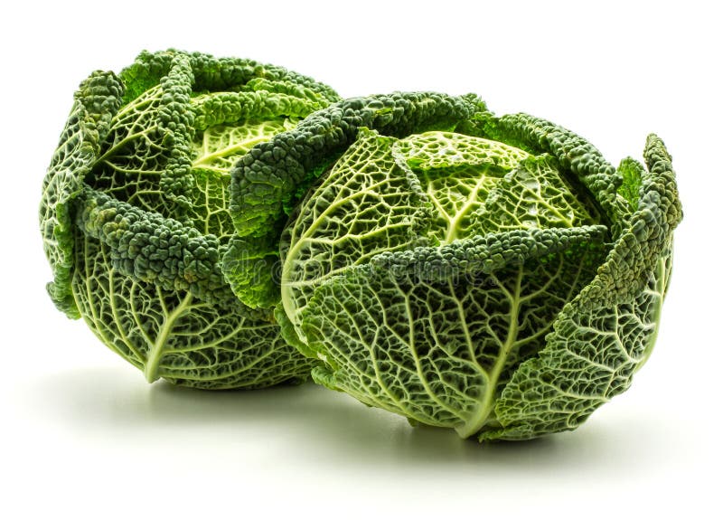 Cavolo Fresco Isolato Su Bianco Fotografia Stock - Immagine di scuro ...
