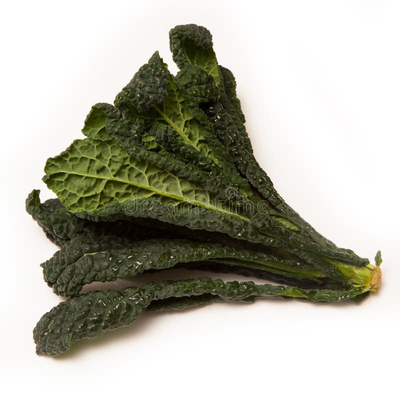 Cavolo Nero Or Italian Cabbage Stock Photo - Image of food, leaf: 6895750