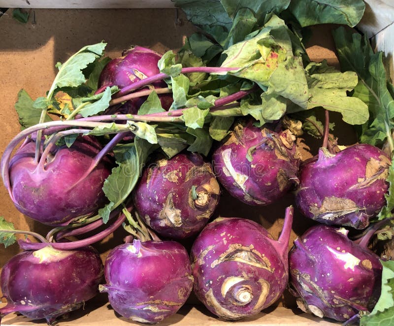 Cavolo Viola Del Cavolo Rapa Fotografia Stock - Immagine di bevanda ...