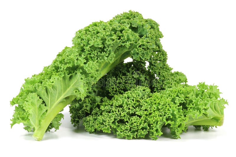 Cavolo riccio immagine stock. Immagine di podere, consumo - 65996283