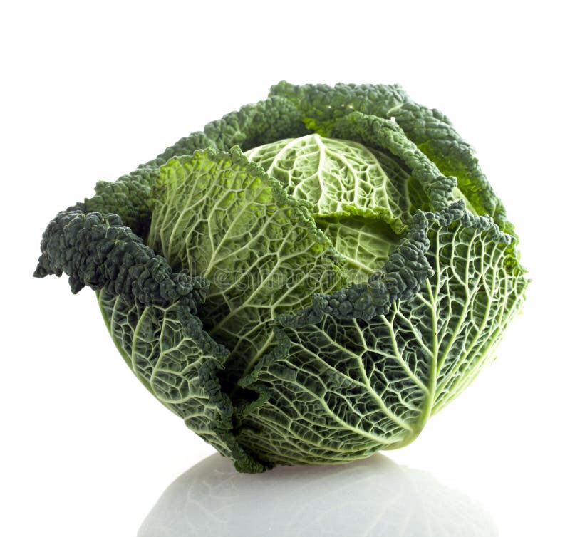 Cavolo verde riccio immagine stock. Immagine di testa - 22572513