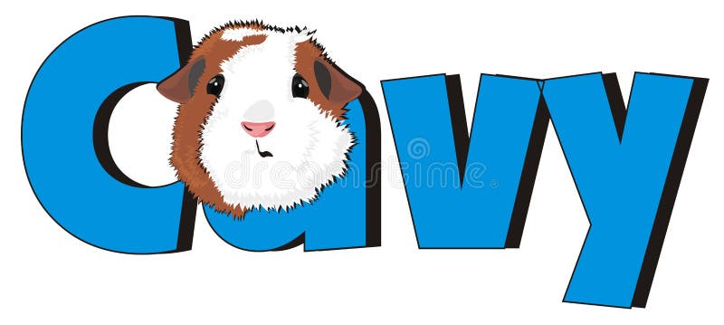 Cavy and letters stock illustration. Illustration of whistle - 178582122