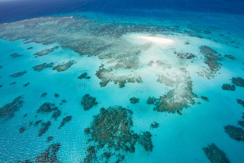 Cay in the reef stock photo. Image of queensland, barrier - 5953746