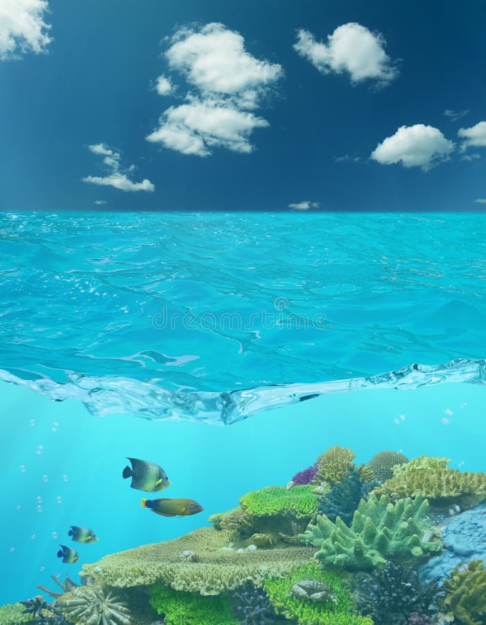Cay Under Blue Water and Cloud Sky Stock Image - Image of transparent ...