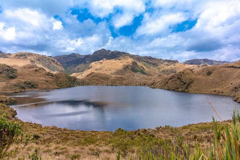 Cayambe Coca Ecological Reserve in Ecuador Stock Image - Image of tree ...