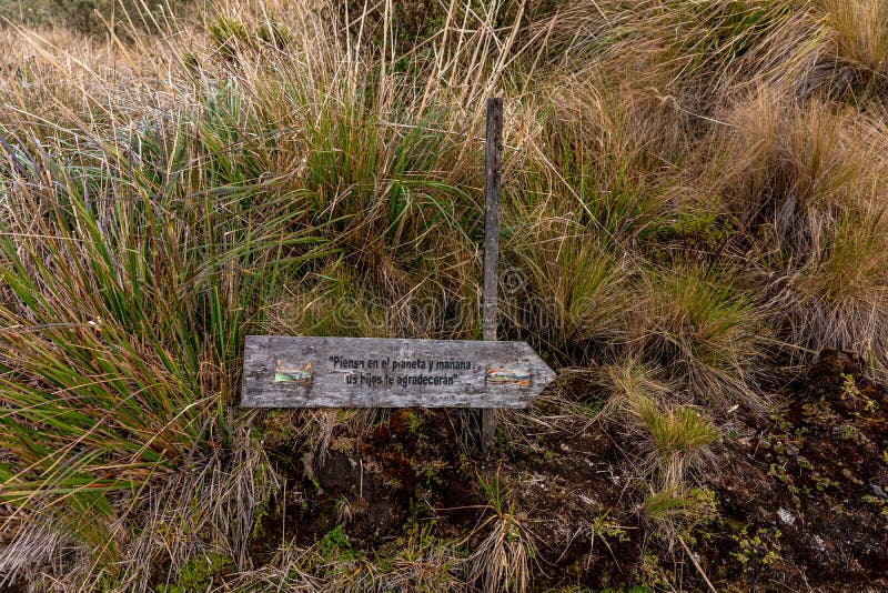 Cayambe Coca Ecological Reserve in Ecuador Stock Image - Image of ...
