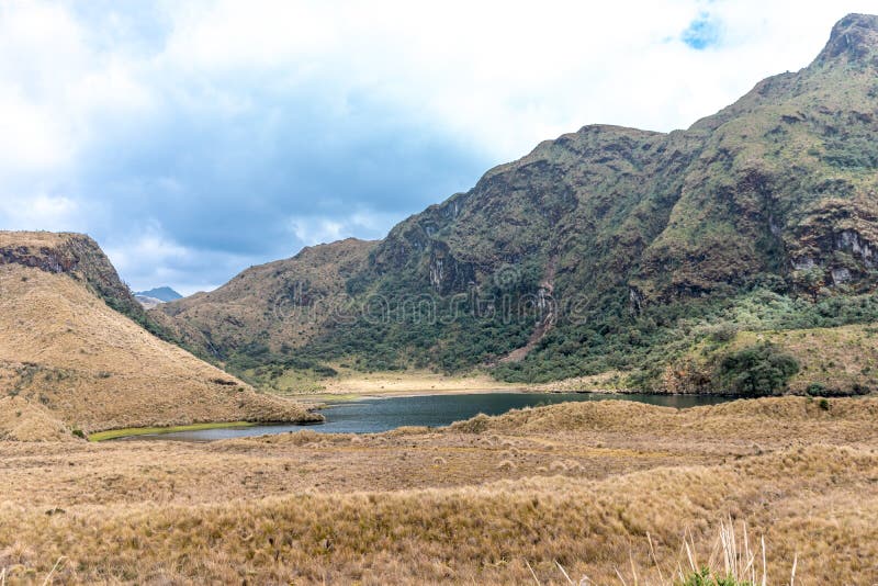 Cayambe Coca Ecological Reserve in Ecuador Stock Photo - Image of tree ...