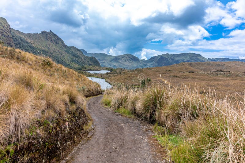 Cayambe Coca Ecological Reserve in Ecuador Stock Image - Image of ...