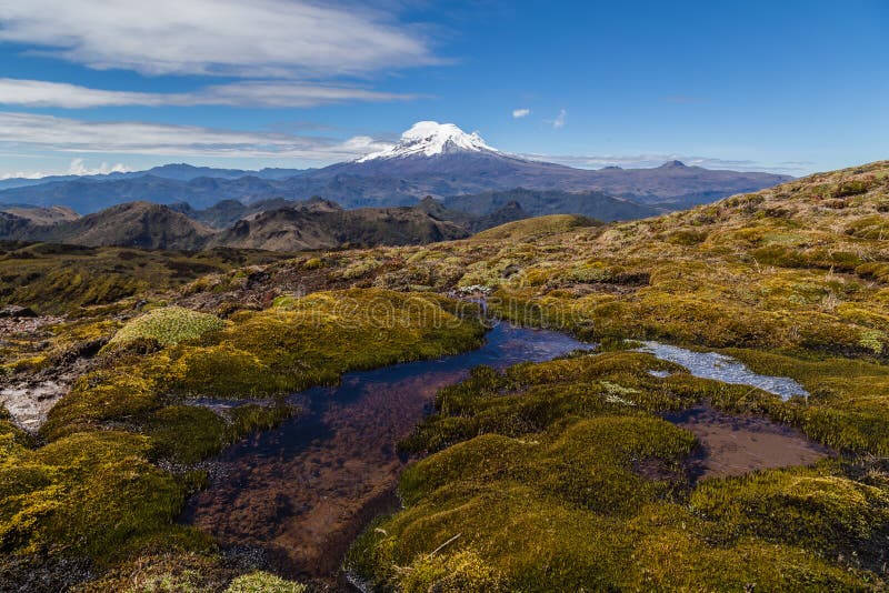 Cayambe-Coca reserve stock image. Image of national - 171474957