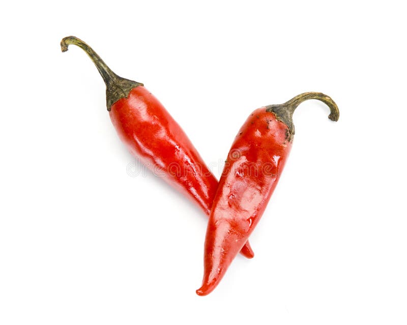 Cayenne Chili Pepper stock photo. Image of chile, benefits - 9107948