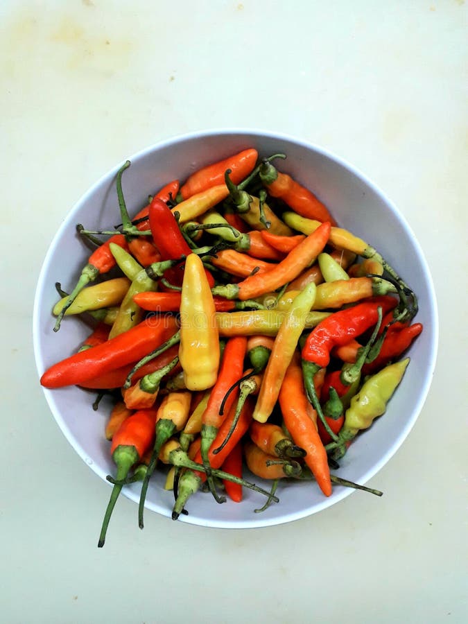 Cayenne Pepper or Other Known As Devil Chili & X28;cabai Setan& X29 ...