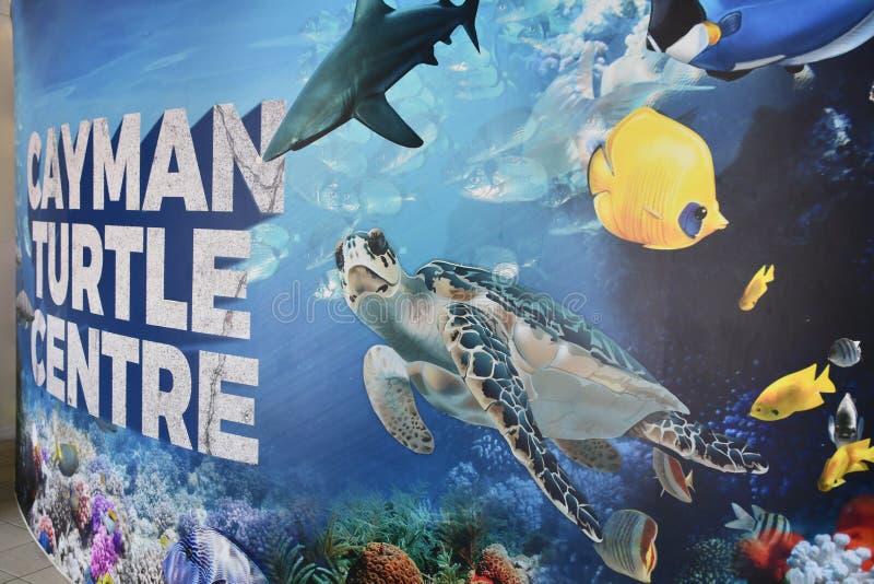 Cayman Turtle Centre in West Bay on the Cayman Islands Editorial Stock ...
